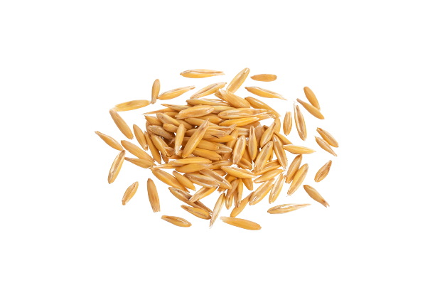 We Grow the Seeds We Sell - Ellis Seeds